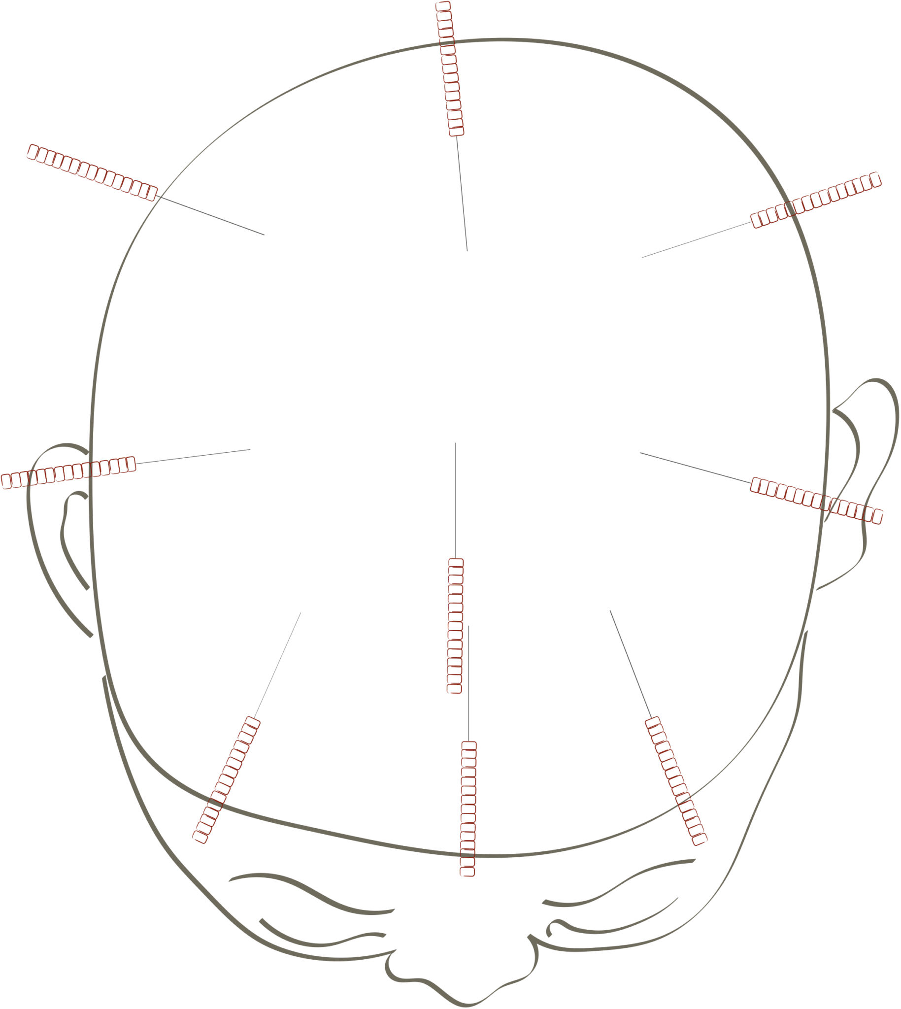 SKALP AKUPUNKTUR | AkupunkturAkademiet